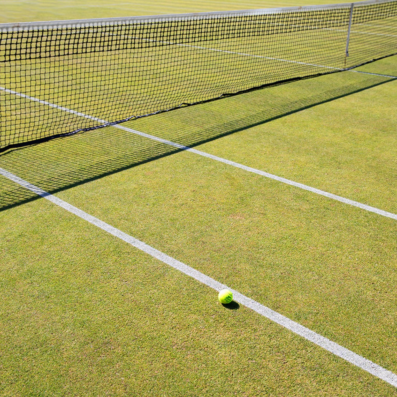 Tennis - The Northern Lawn Tennis Club